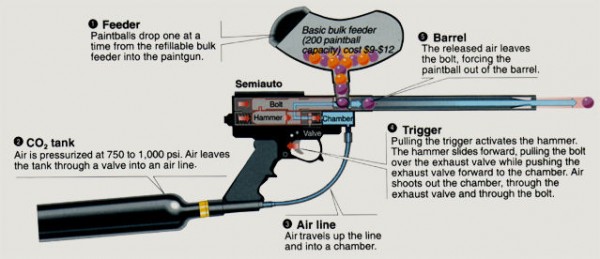 Best Paintball Gun for Self Defence